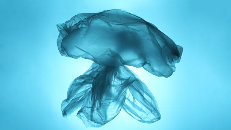 Clean Oceans Project Identification and Preparation (COPIP) programme ...